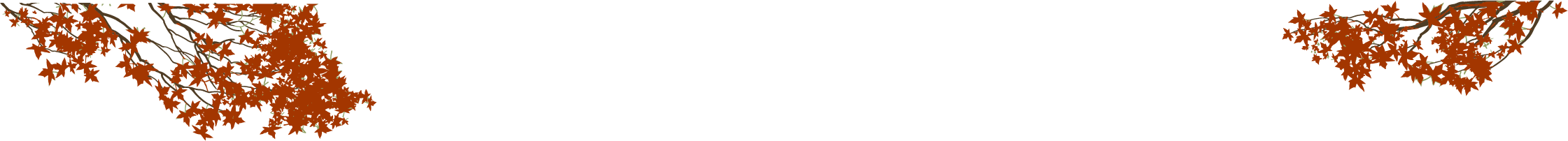 Home of great beer and great pubs | Everards of Leicestershire